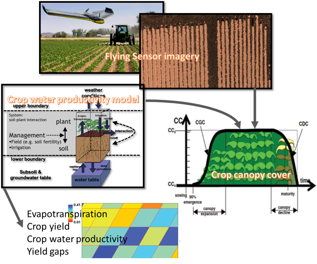 Crop Growth Models – FutureWater