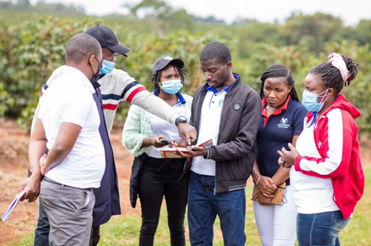 HiFarm Project Successfully Completed in Kenya – FutureWater