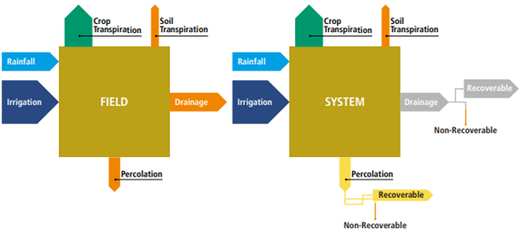 REWAS: Real Water Savings in Agricultural Systems – FutureWater